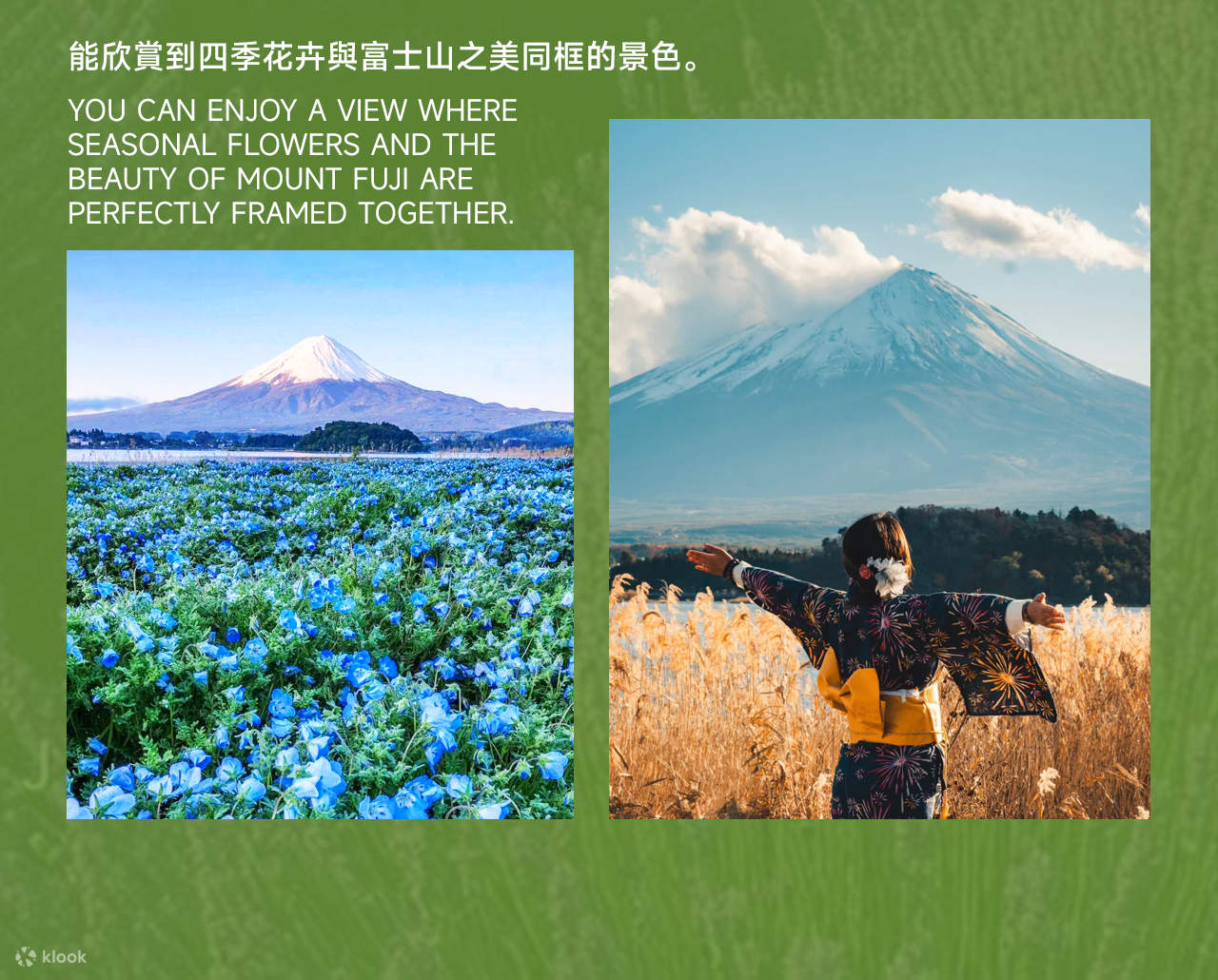 [Must-Do for Families] Fuji Safari Park × Oshino Hakkai × Oishi Park ...